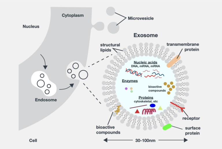 Exo Booster Is New Dermalogica Skin Rejuvenation Treatment